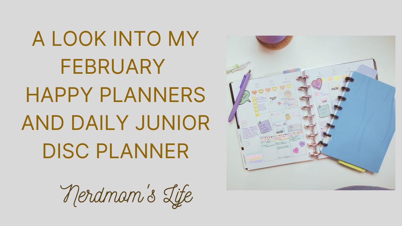 A Look into my February Happy planners and daily junior disc planner ...